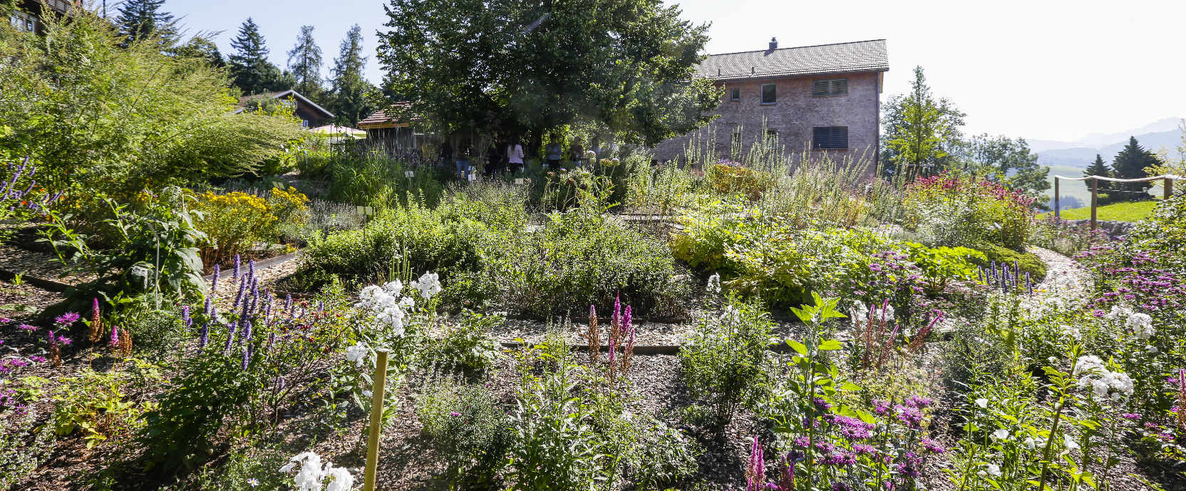 Impressionen vom A.Vogel Heilpflanzengarten in Teufen | A.Vogel