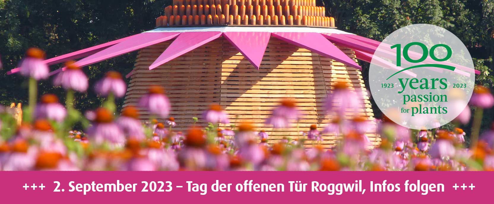 Das erleben Sie in Roggwil TG | A.Vogel