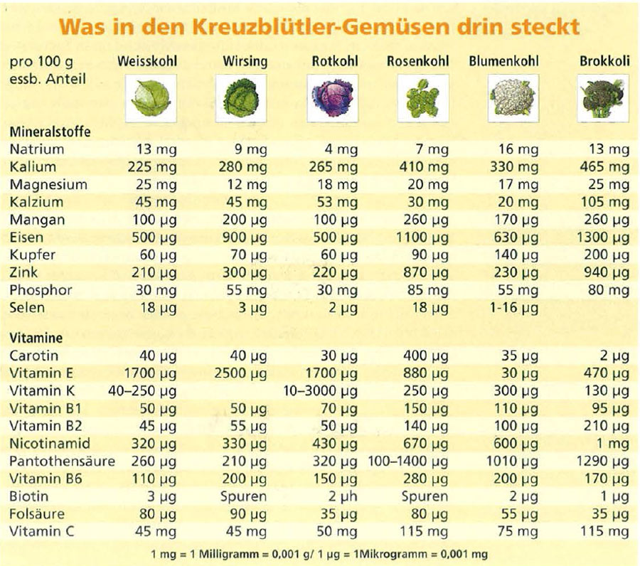 Kohl: Sorten, Heilplfanze und Gemüse | A.Vogel