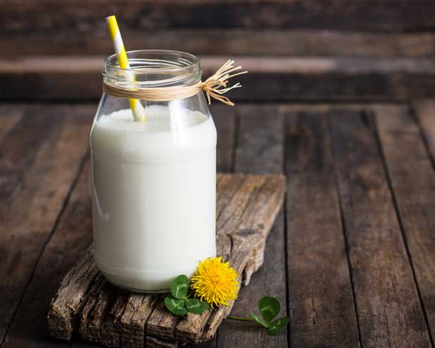 Milch - meiden oder geniessen? | Ernährungsthemen | A.Vogel