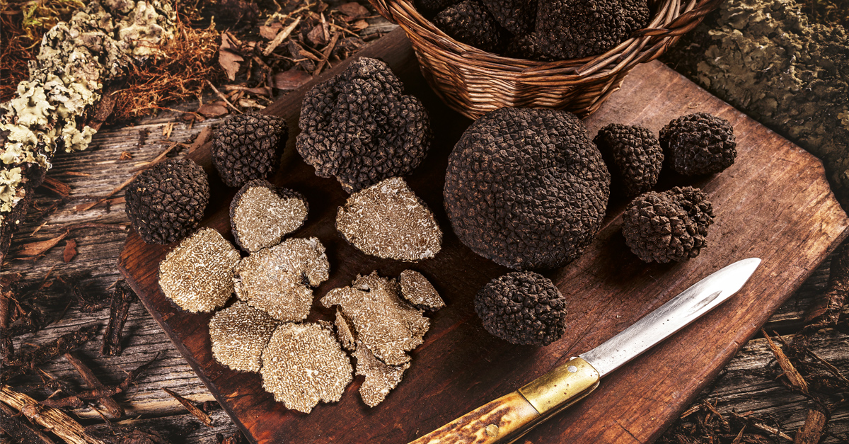 Trüffel – fein und nützlich | A.Vogel