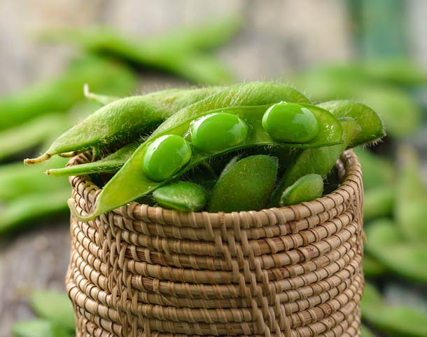 Le soja : Ce qu’il faut savoir à propos du soja | thèmes d'alimentation ...