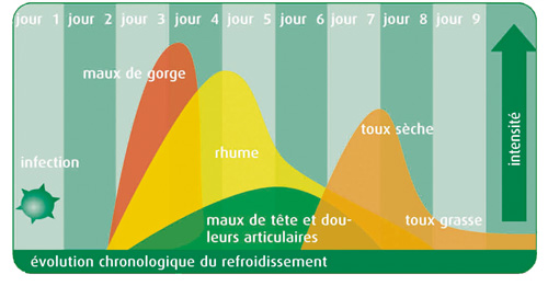 Refroidissements | A.Vogel