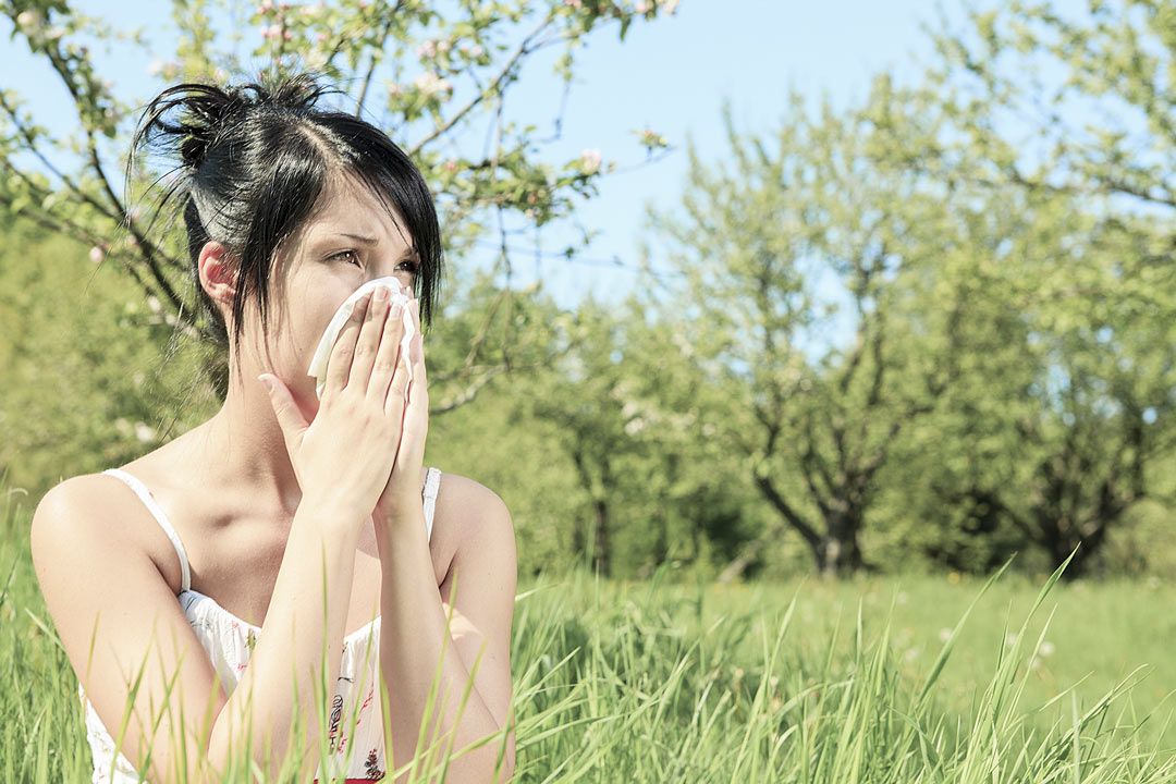 Heuschnupfen / Pollenallergie | A.Vogel