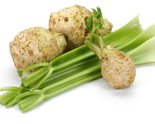 Sellerie: Mineral- und vitaminreiches Wurzelgemüse | Pflanzenlexikon ...